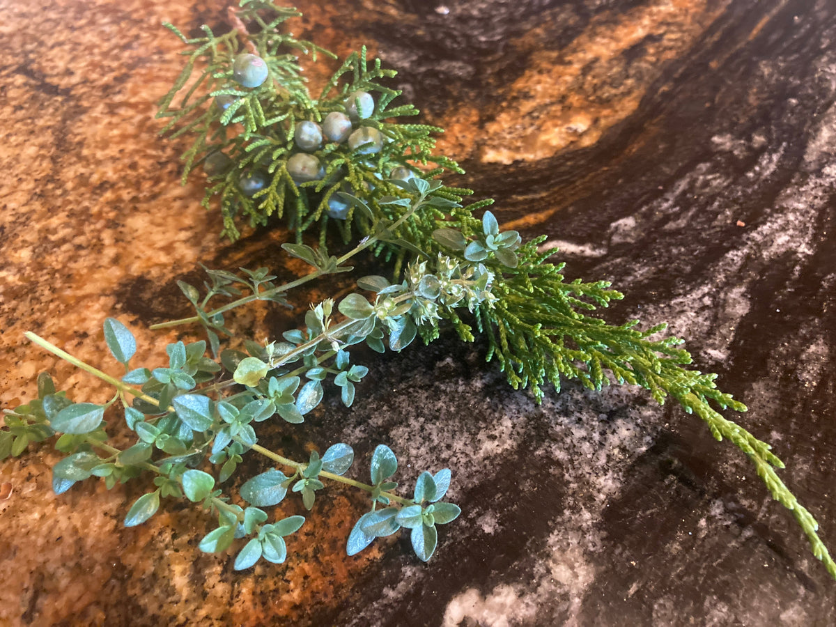 Get to Know Alpha-Terpinene, and its Pain Relieving Properties ...